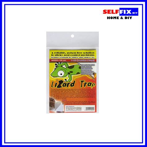 Image result for Go Lizard Trap