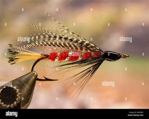 Image result for Streamer Fly Patterns