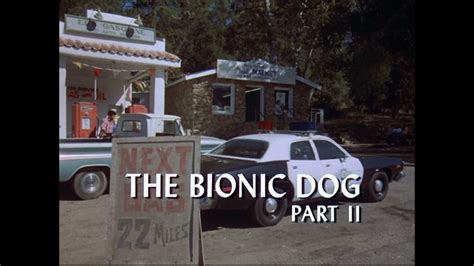 Image result for Bionic Woman Bionic Dog