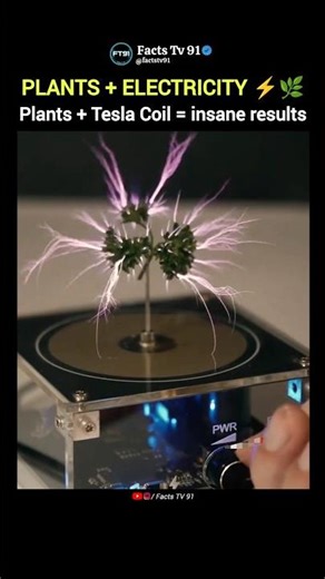When Plants Touch a Tesla Coil ⚡😳