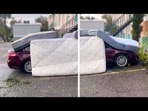 #74 Die besten Videos aller Zeiten || The Best Videos of All Time