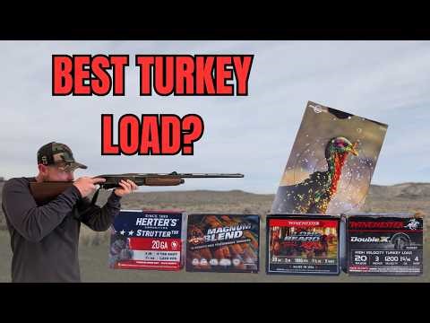 Best 20 Gauge Turkey Load? 40 Yard Pattern Test (TSS & Lead)