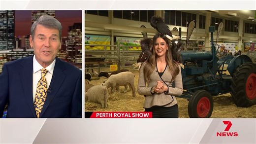 PERTH ROYAL SHOW 6PM WEATHER LIVE CROSS