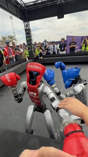 Real life Real steel Boxing is so scary 😟