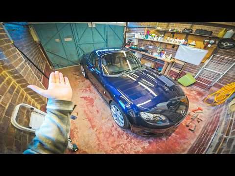 I aligned this car 12 times - here's what I learnt