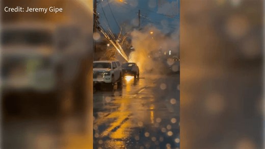 Video | Sparks fly as downed tree rips into power lines in Hampden Township