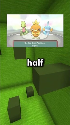 The Funniest NPC Joke in Pokémon Omega Ruby and Alpha Sapphire