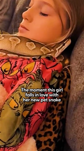 This duo might just convince you that ball pythons = noodle puppies💚😲 We spoke with Hailey and her daughter, Lyric, about how their pet snake Lily fits right into the family — and why everyone just wants to cuddle her all the time! For more scaly cuddles, follow Lily on Instagram: thedo.do/lilythesweetsnake and Hailey on TikTok: thedo.do/hailstorm424. | The Dodo