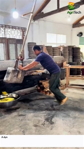 Creative Visual Transformation Effect Blending Multiple Scenes Seamlessly