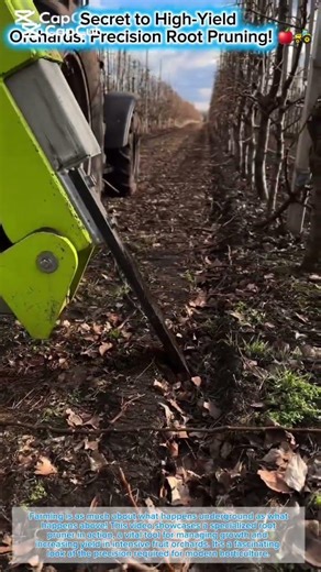 Secret to High-Yield Orchards: Precision Root Pruning! 🍎🚜