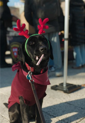 Indulge in Hot Cocoa and Holiday Cheer with Sasha