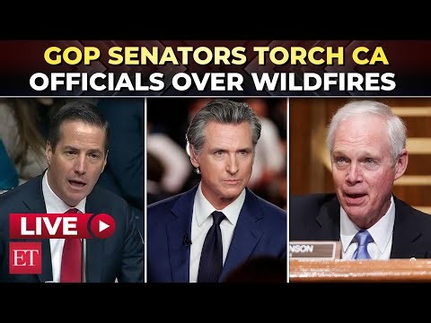 'They failed to follow basic process': Explosive testimony shocks Senate over California wildfires