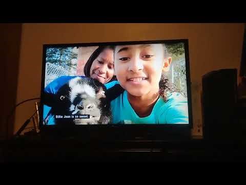 PBS KIDS Program Break (March 04, 2026)