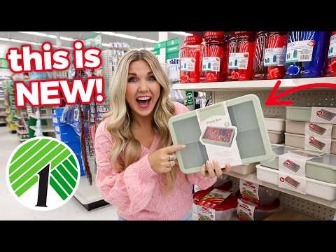 Dollar Tree Organization Everyone Will Want—Here’s Why!