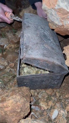 hidden gold coins chest found and opened with metal detector #metaldetecting #gold #archaeology