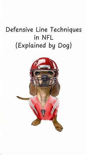 NFL Defensive Line Techniques (Explained by Dog) #NFL #superbowl #playoffs
