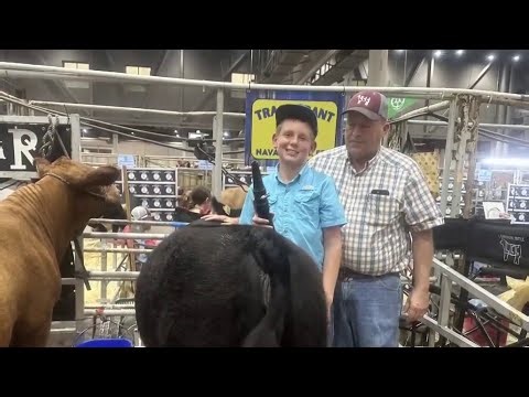 Generations of livestock pride on display at Houston rodeo