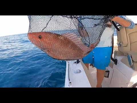 Catching larger Red Snapper on a flatline.