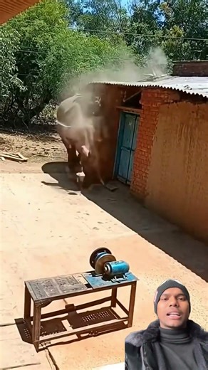 Smart Appliances! New Gadgets, Versatile Utensils, Tool Items #shorts#gadgets