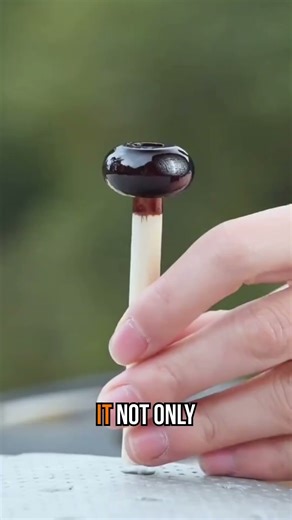 How Tree Sap Becomes Incredibly Useful #shorts