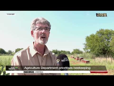 Agriculture Department prioritises beekeeping