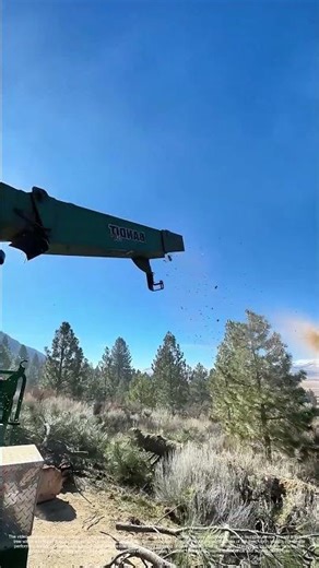 Projectile Forestry: A Method for Remote Tree Removal