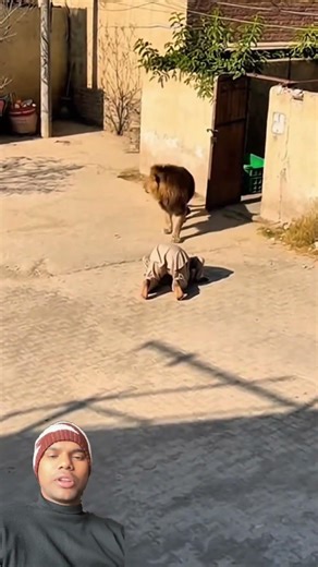 Smart Appliances! New Gadgets, Versatile Utensils, Tool Items #shorts#gadgets