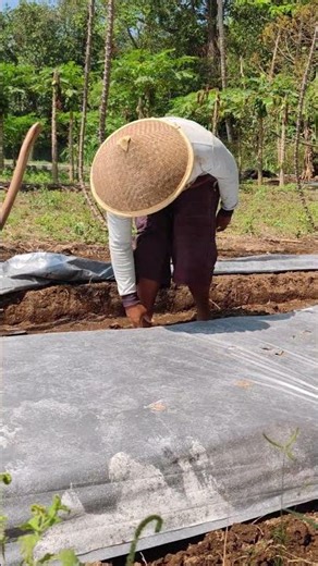 The process of arranging agricultural land using simple techniques -Farming #shorts