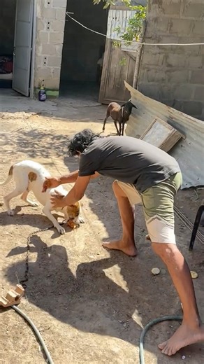 Mi presa de pollo no😭😭 | El Gemelo Oficial