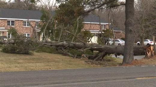 Wind brings down trees, power lines around North Country