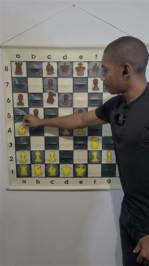 What is the Noah's Ark Trap in Chess?