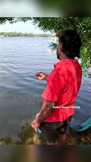 Amazing Mullet Fish Catch in River Using Bottle Trap #fishingtechnique #fishingmethods #trapfishing