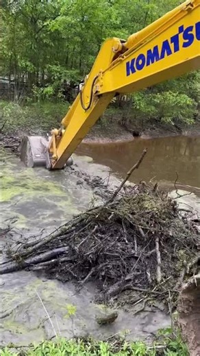 INSANE Beaver Dam Removal — Water Explodes Through! 🦫🚜