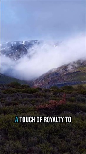 The Sims 4 Royal Expansion Teased! Get Ready for Thrones & Drama!