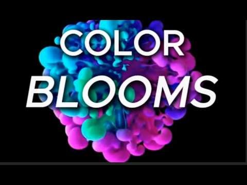 Color Paint Explosions 🎨💥 | 1 Hour Silent Screensaver | 4K Abstract Visual Flow