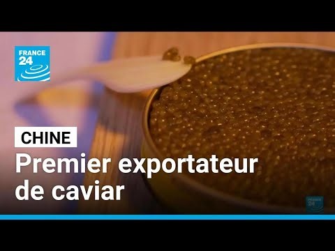 Chine : le caviar chinois s'infiltre sur les tables du monde entier • FRANCE 24