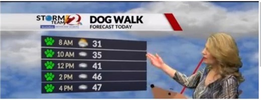 Relaxed winds today with cooler temperatures, winds increase on Sunday. How strong will the winds gust?