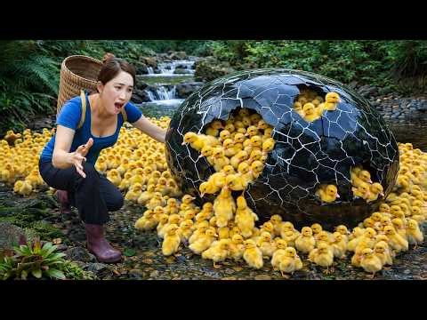 Shocking! Giant Black Egg Explodes with 1000+ Baby Ducks | Unbelievable Nature Miracle! 🐣🔥