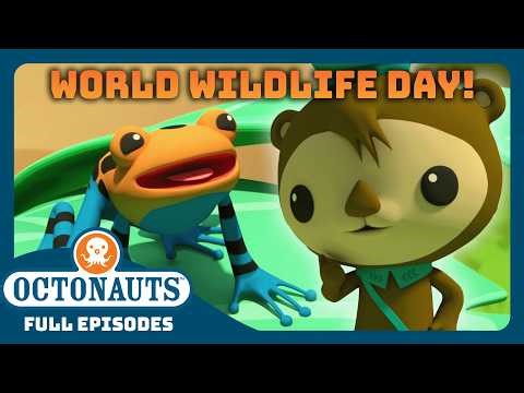 @Octonauts - 🌴 Celebrating World Wildlife Day! 🦩 | 30 Mins+ Full Episodes Marathon