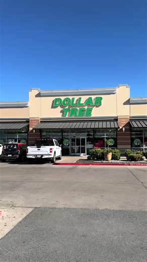 Creative Dollar Tree DIY Ideas