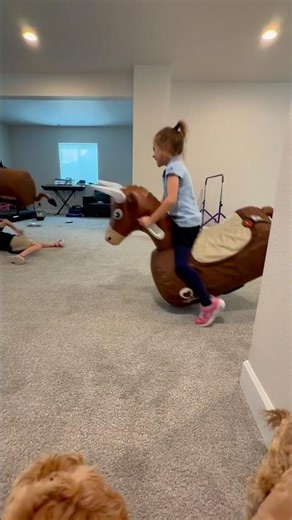 These inflatable bouncy cows are amazing if you have kids with a ton of energy