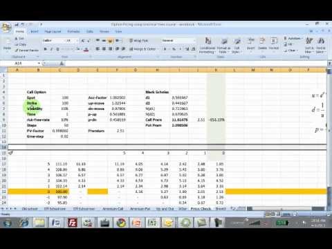Option Pricing using Binomial Trees - Session 5: Increasing time steps and improving result accuracy