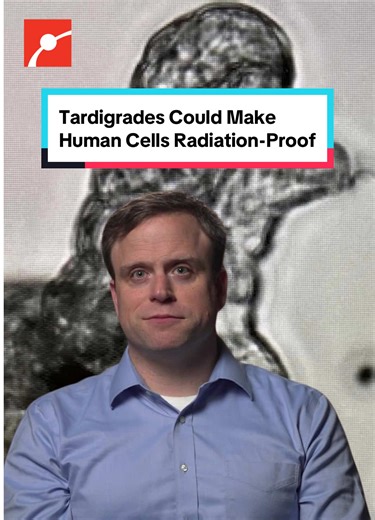 How tough can a microscopic animal be? Dr. Chris Mason, Professor of Physiology and Biophysics at Cornell University explains that tardigrades, microscopic “water bears” found in soils around the world, can survive heavy radiation and the vacuum of space. Scientists have also taken genes from tardigrades and put them into human cells to recreate that radiation resistance. #Science #Biology #ScienceFacts #ScienceTok #PopularScience