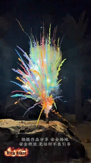 ThThis fireworks video has been going viral lately, it's absolutely crazy popular. Could you help me come up with a name for it? #fireworks | Rice Blaze
