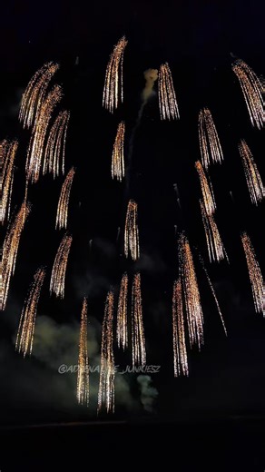 12” inch display shell Horsetail / Coda di Cavallo 🔥 #shell #fireworks #vuurwerk