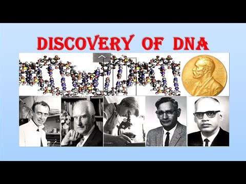 DISCOVERY OF DNA