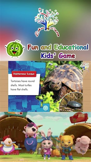 🐢🏜️ Turtle vs. Tortoise! | Flippers or Elephant Feet? | Animal Safari 🌊✨