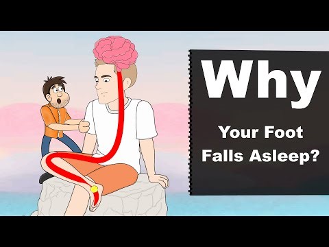 Why Your Foot Falls Asleep?