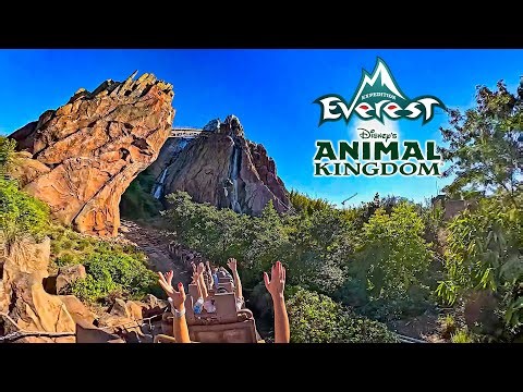 Expedition Everest Roller Coaster on Ride Back Seat 4K POV Disney's Animal Kingdom 2025 12 29