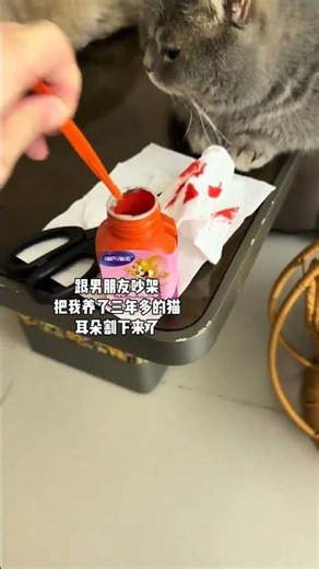 Reconciliation Ritual: Never Argue with My Boyfriend Again